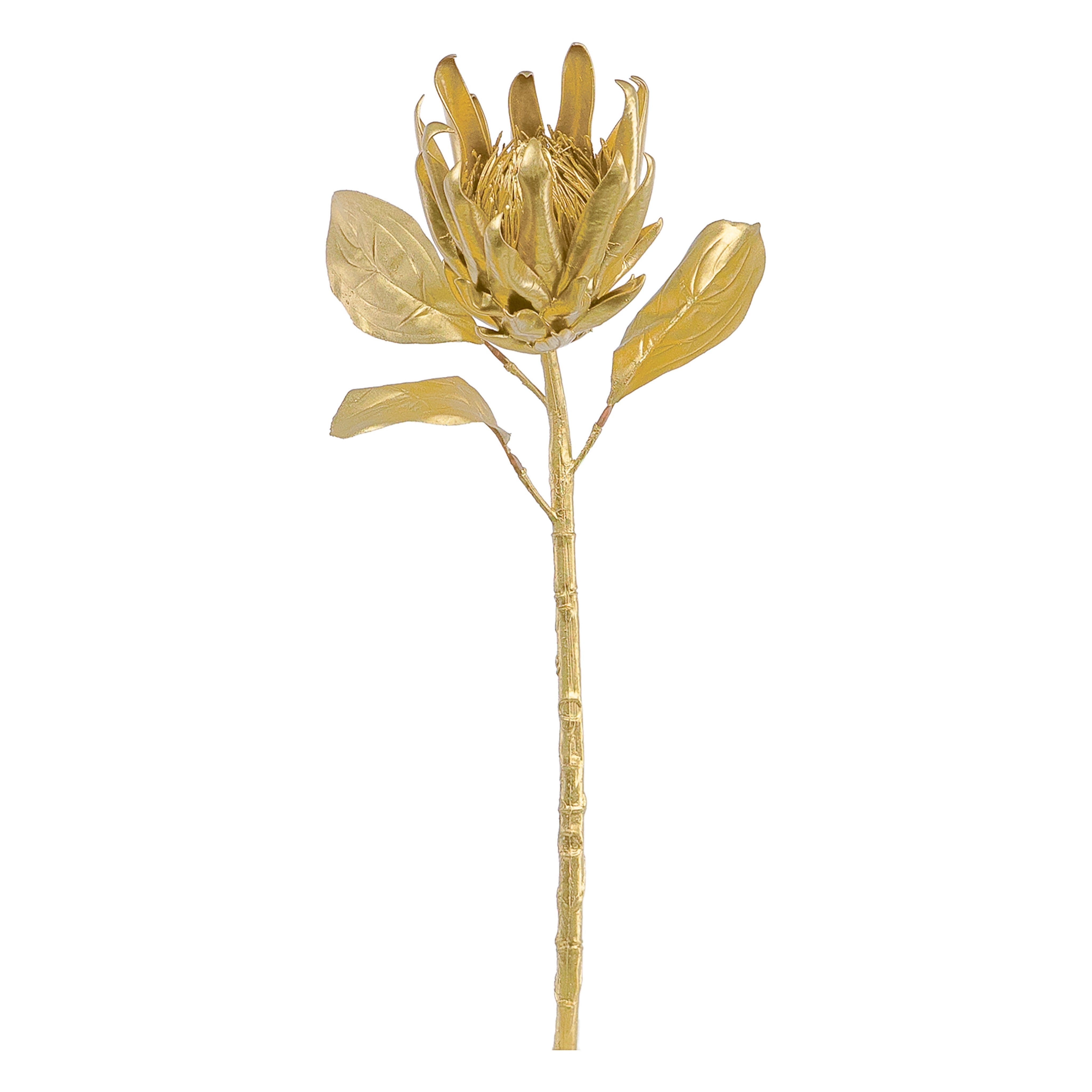Golden Protea – EZLD.co