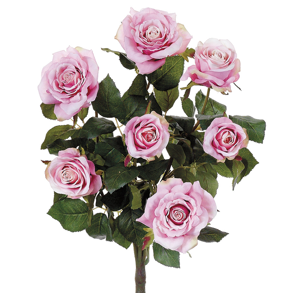 Pink Rose Bush – EZLD.co