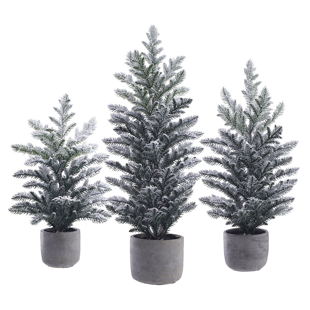 Pine Tree Pots – EZLD.co
