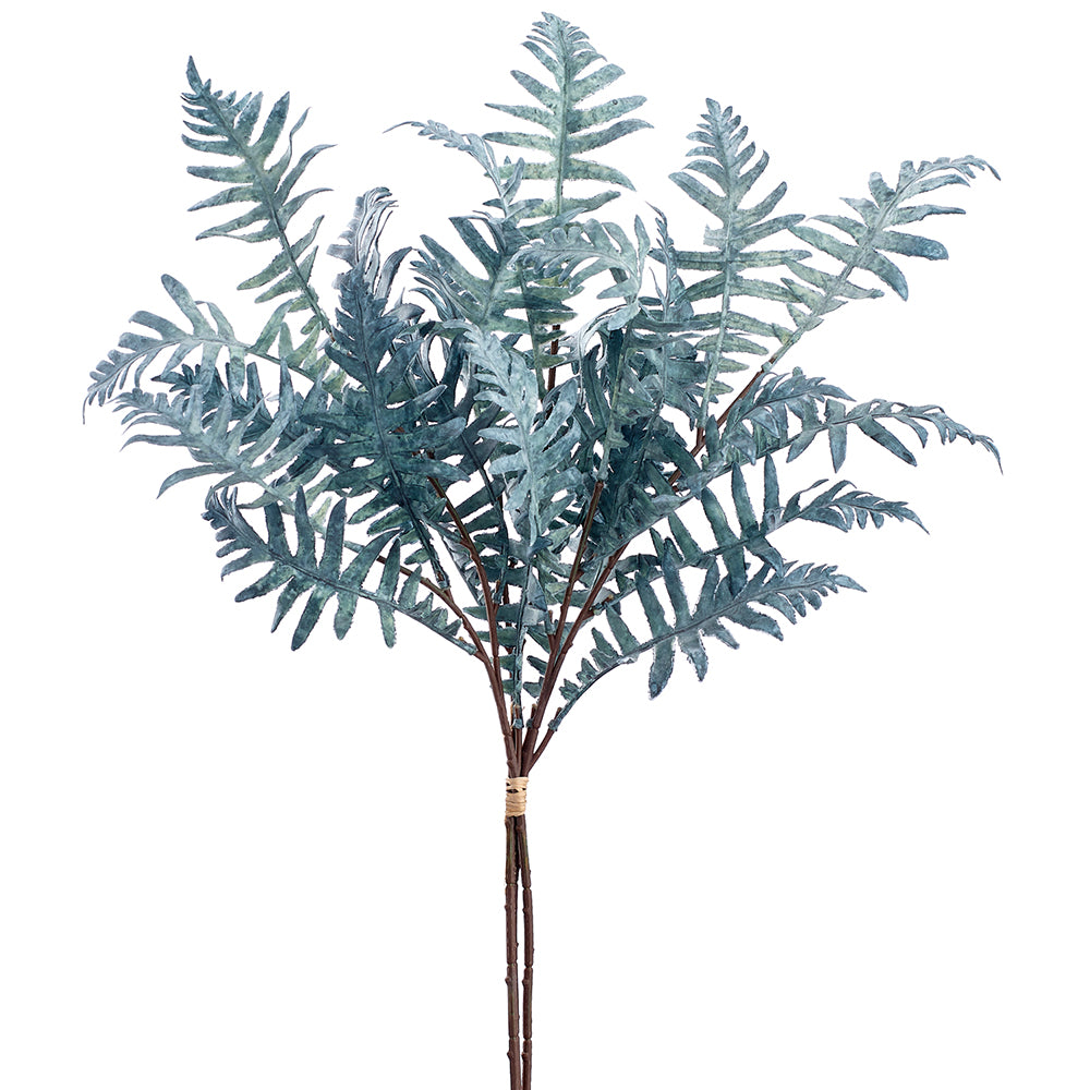 Sword Fern Bundle – EZLD.co