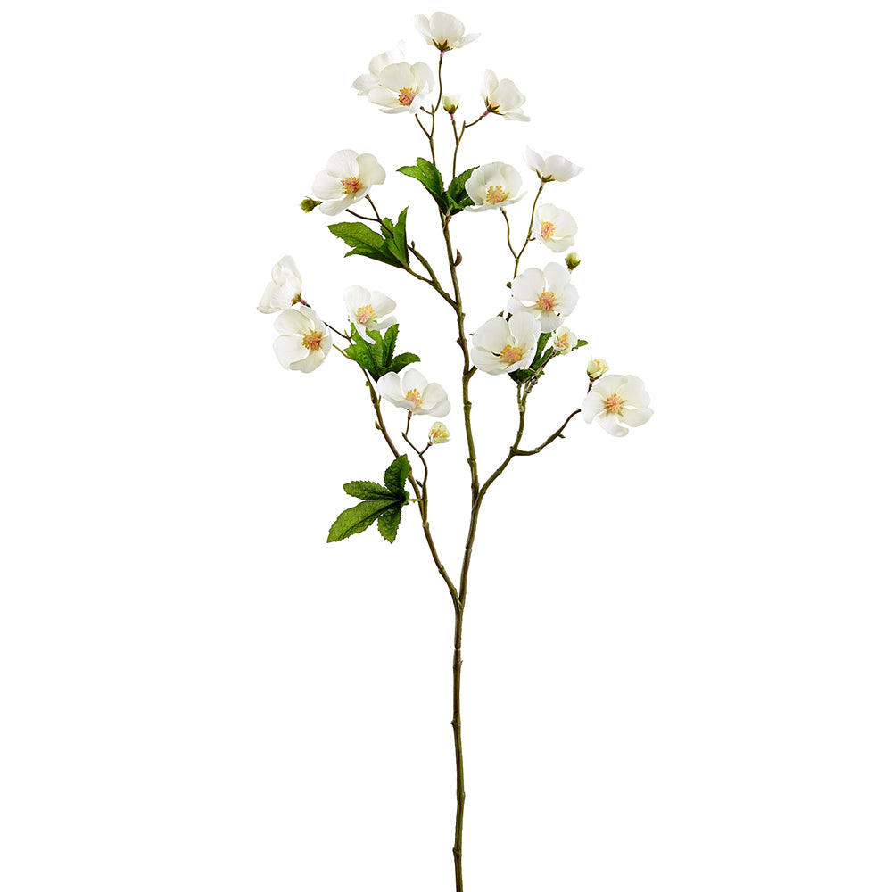 White Cape Mallow Spray – EZLD.co